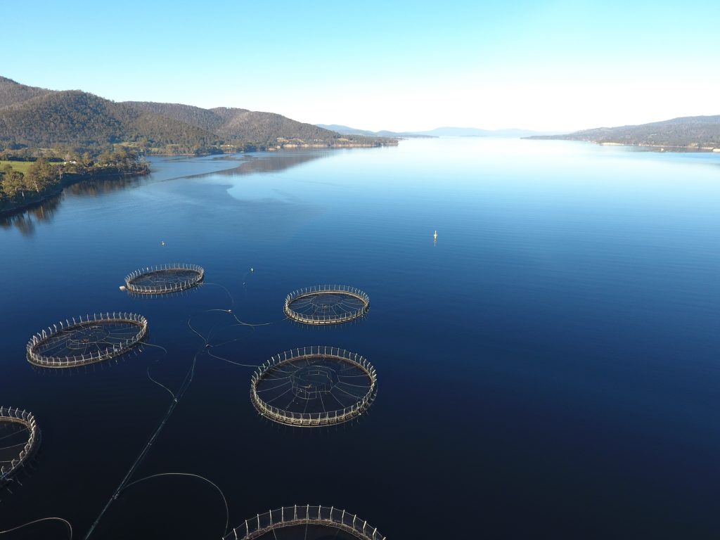 Marine Farm Leases - Marine and Safety Tasmania